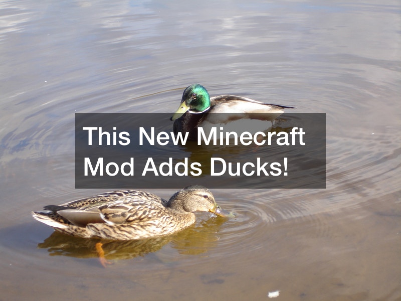 This New Minecraft Mod Adds Ducks! - Boston Equator